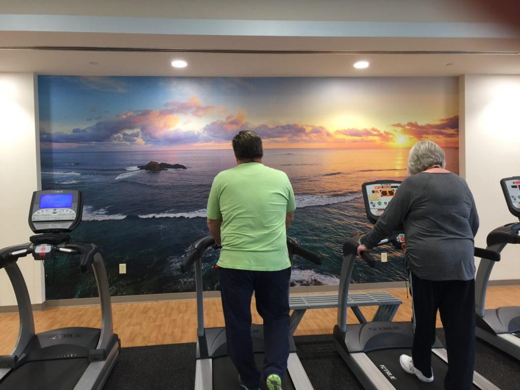 Wall Murals in Hospitals and Rehabilitation Centers – Decorating with ...