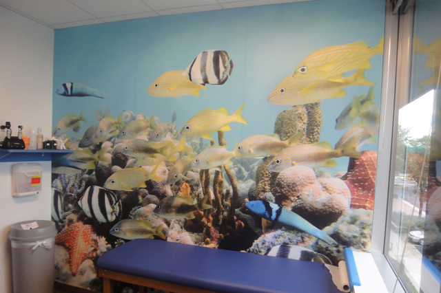 Doctors Office Wall Murals