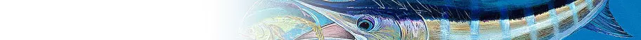 Mark Ray Marine Art Murals - Wall Murals by Mark Ray