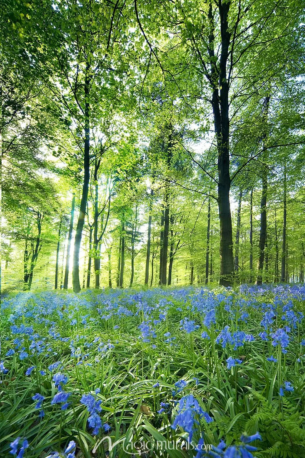 Wildflowers In Yorkshire Wallpaper Mural by Magic Murals