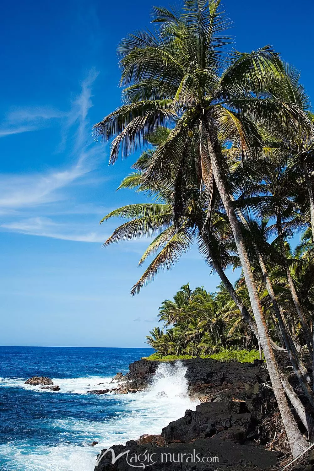 View of Kahena Coastline Wallpaper Mural by Magic Murals