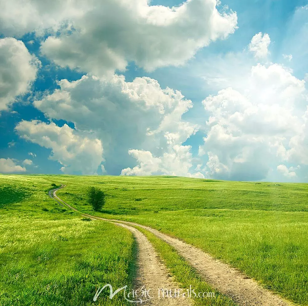 Summer Clouds Wallpaper Wall Mural by Magic Murals