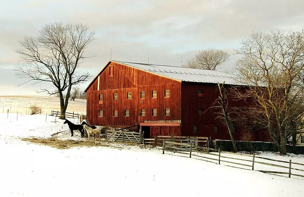 Stables in Winter Wallpaper Wall Mural by Magic Murals