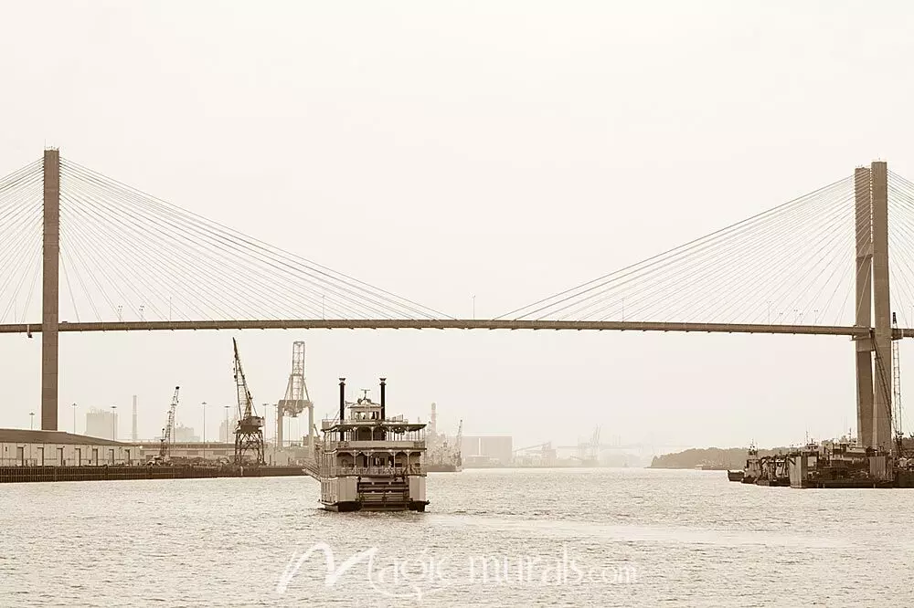 Riverboat under Talmadge Memorial Bridge Magic Murals