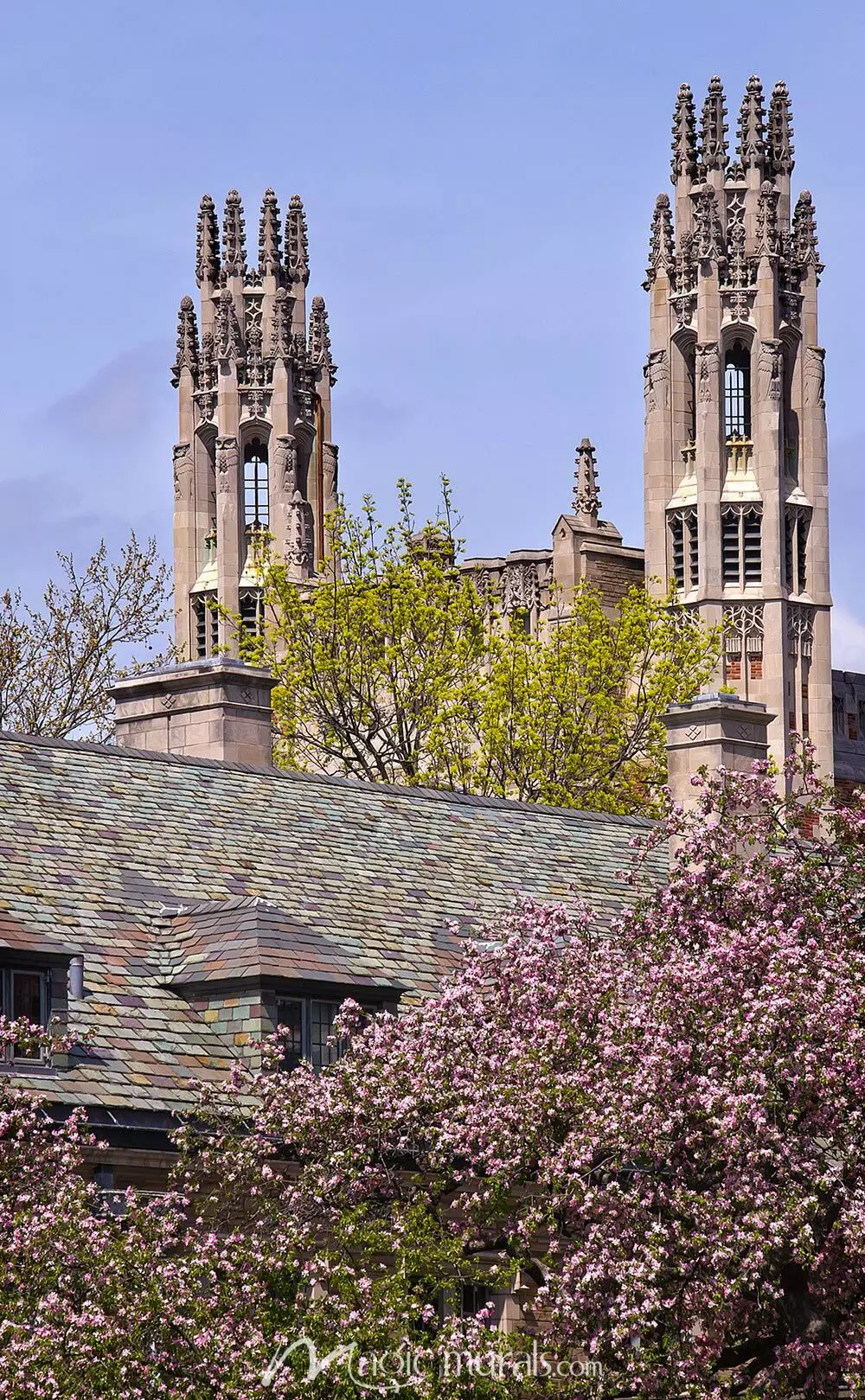 Yale University Wallpaper