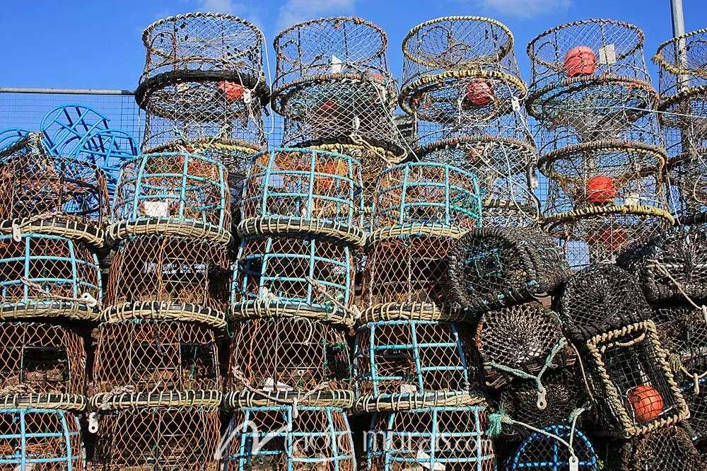 Lobster Pots Wallpaper Wall Mural by Magic Murals