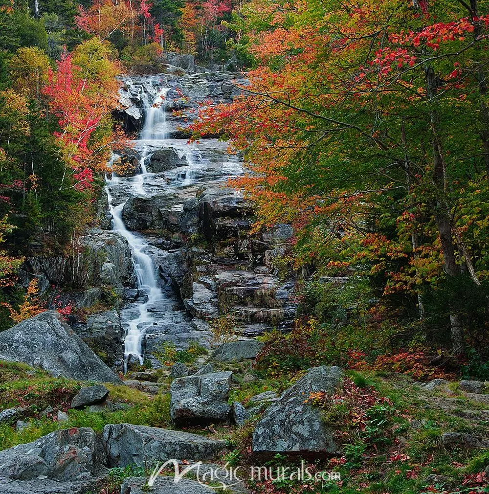 Waterfall in Vermont Wallpaper Mural by Magic Murals