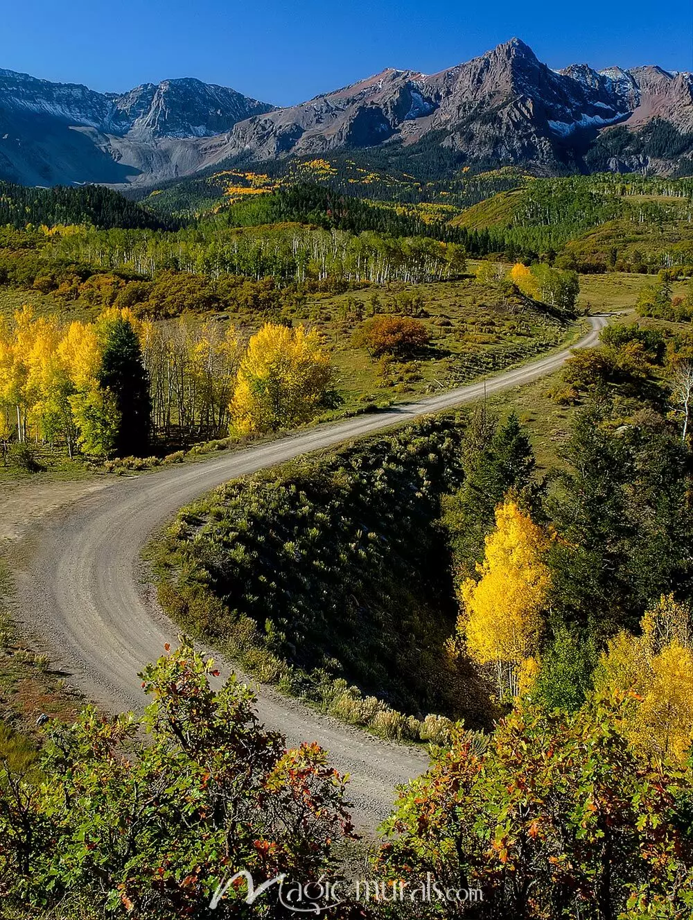 High Country Scenery