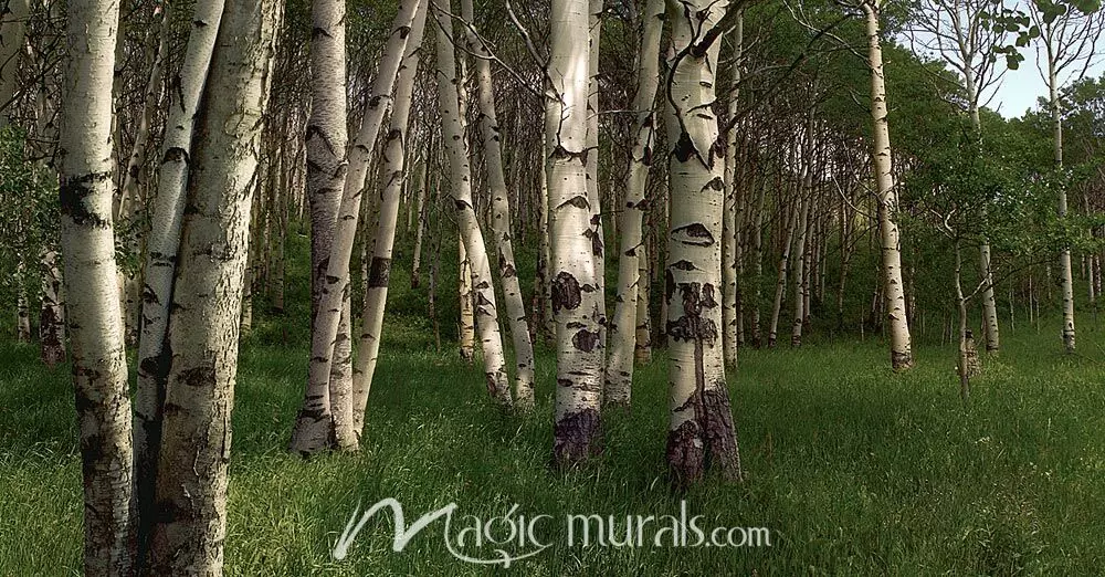 Happy Trees Wallpaper Wall Mural by Magic Murals