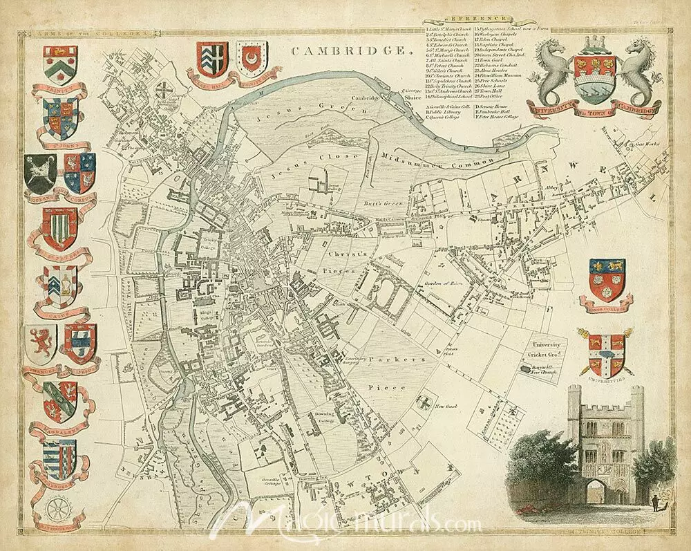 Map of Cambridge Wallpaper Wall Mural by Magic Murals