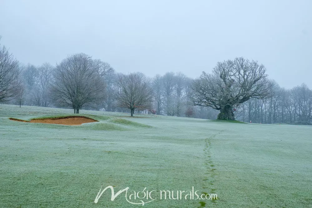 English Golf Course Footprints Mural by Magic Murals