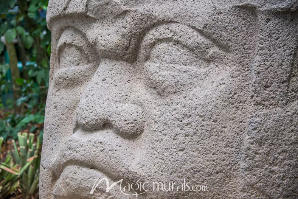 Olmec Head Tabasco 2978 Wallpaper Mural by Magic Murals