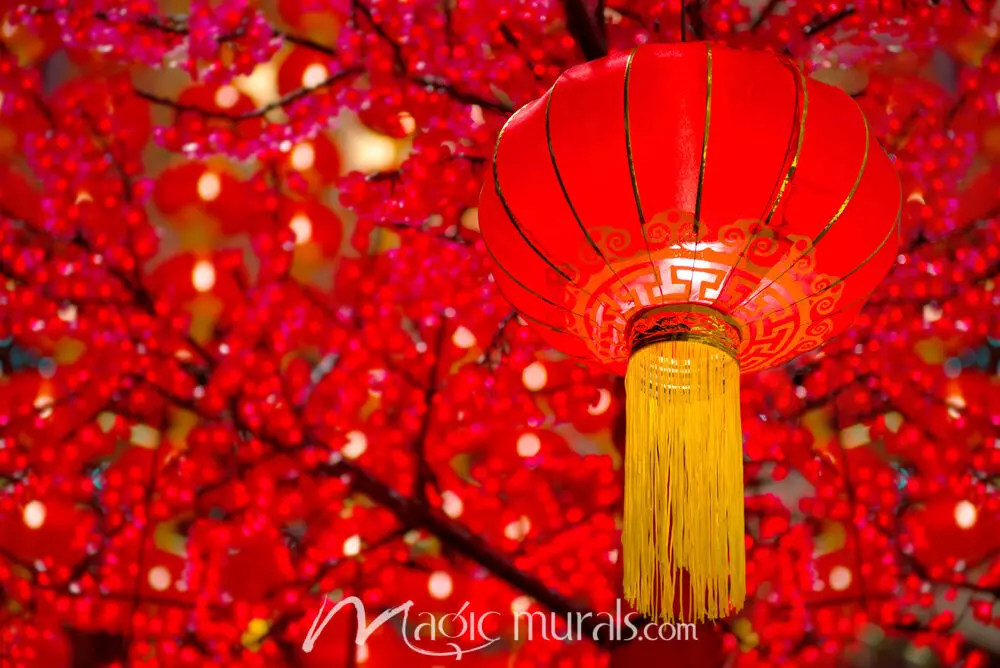 Chinese Lantern Tree Wallpaper Mural by Magic Murals