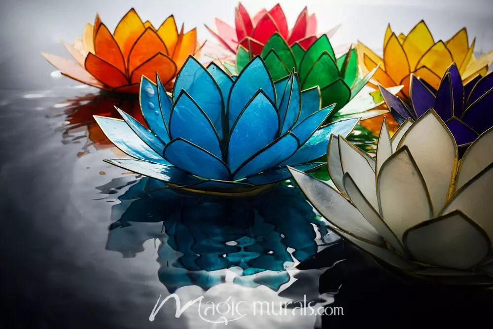 Lotus Vesak Lanterns Wallpaper Mural by Magic Murals