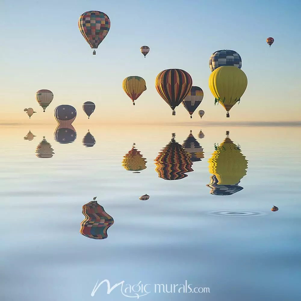 Balloon Reflections Wallpaper Wall Mural by Magic Murals