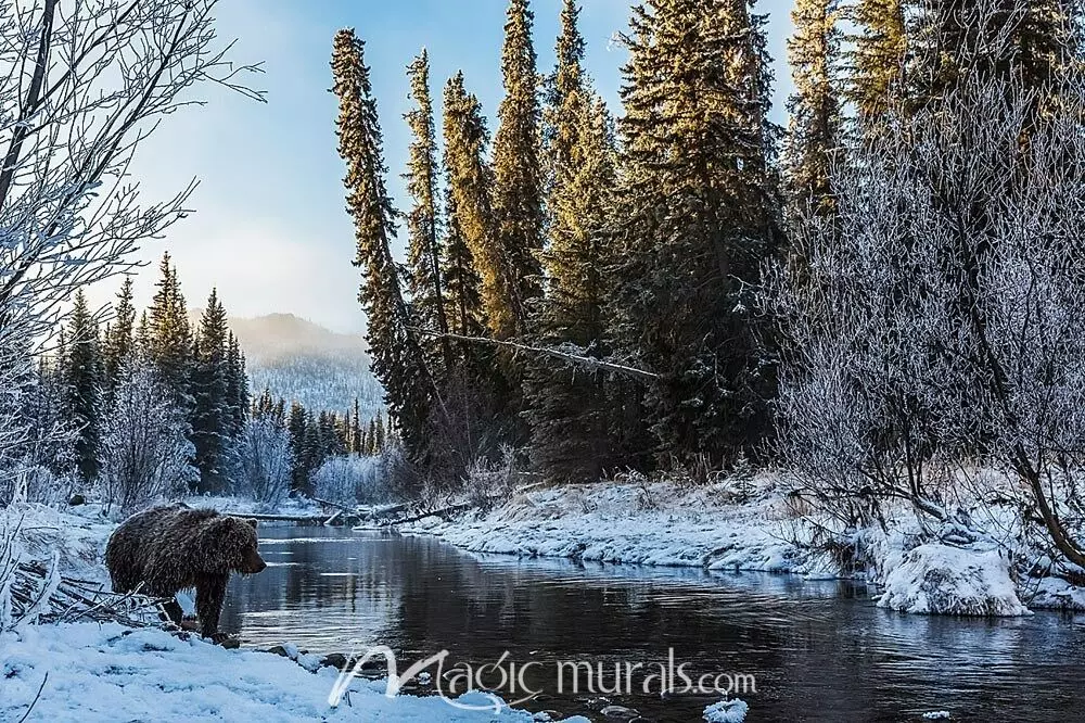 Grizzly Bear Landscape Wallpaper Mural by Magic Murals