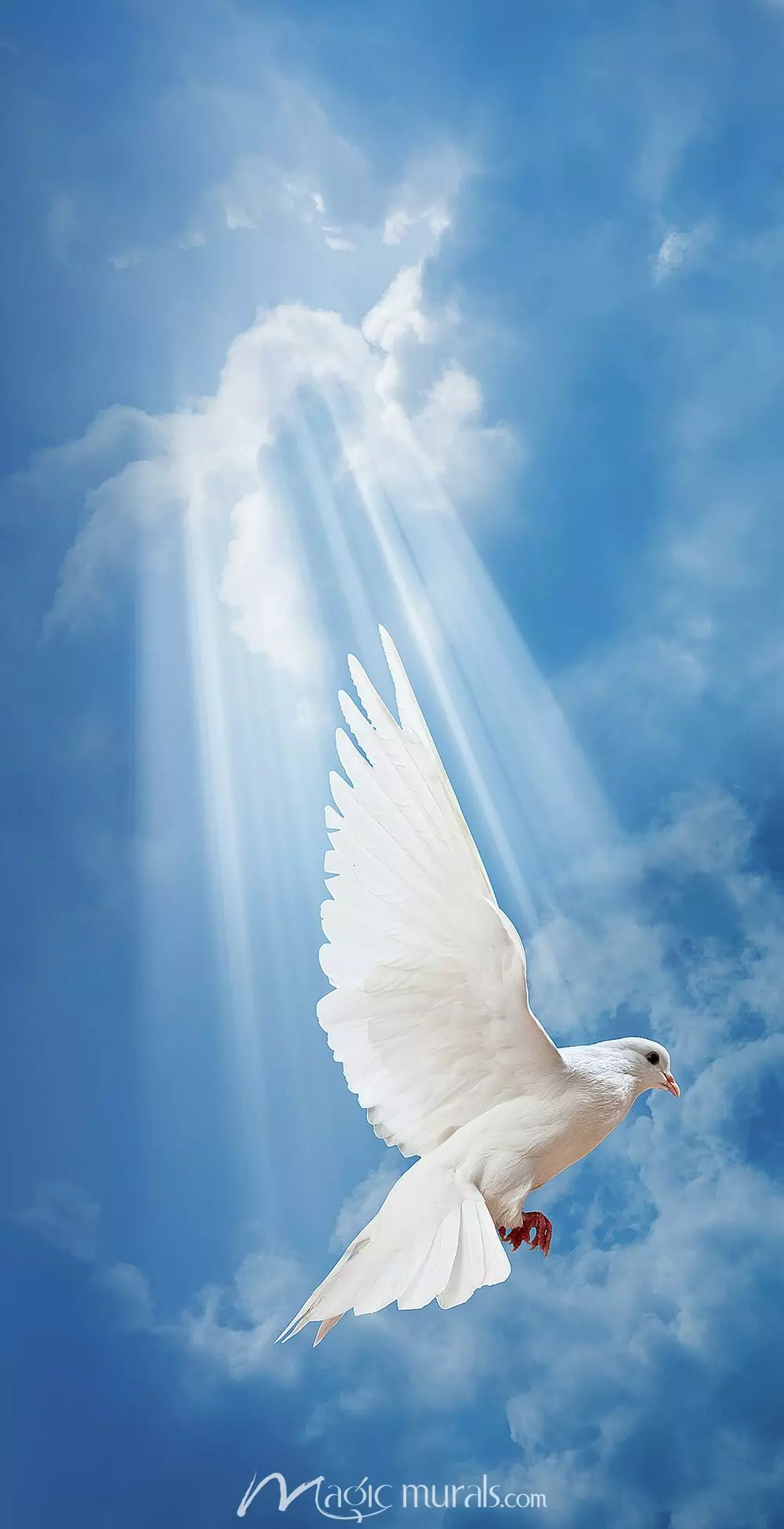 Images Of Doves Of Peace