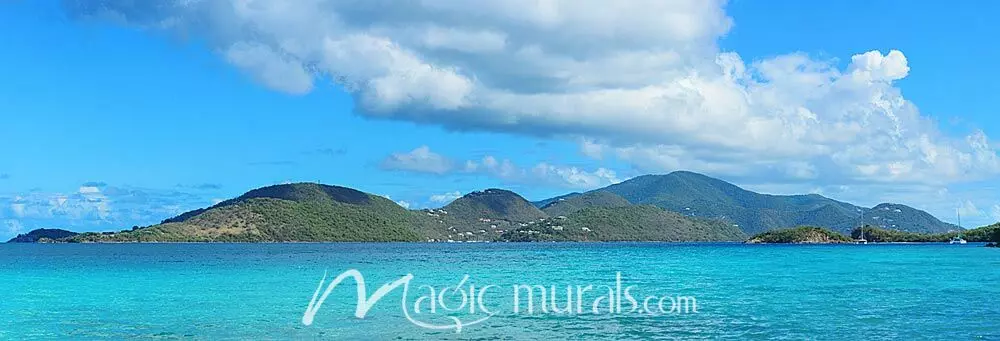 USVI Wallpaper Wall Mural by Magic Murals