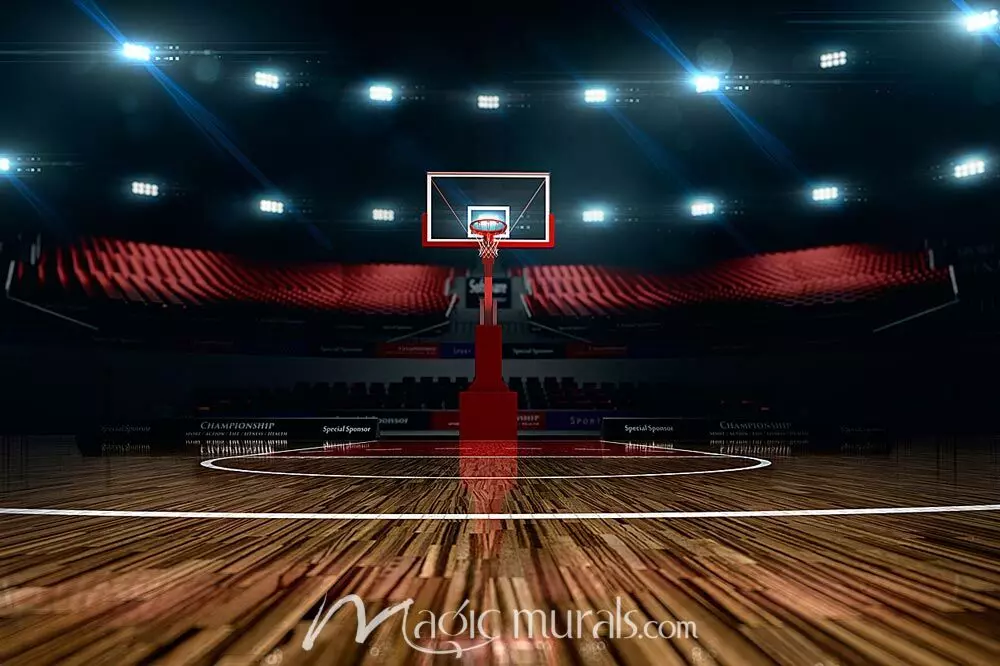 Basketball Stadium Wallpaper Wall Mural by Magic Murals