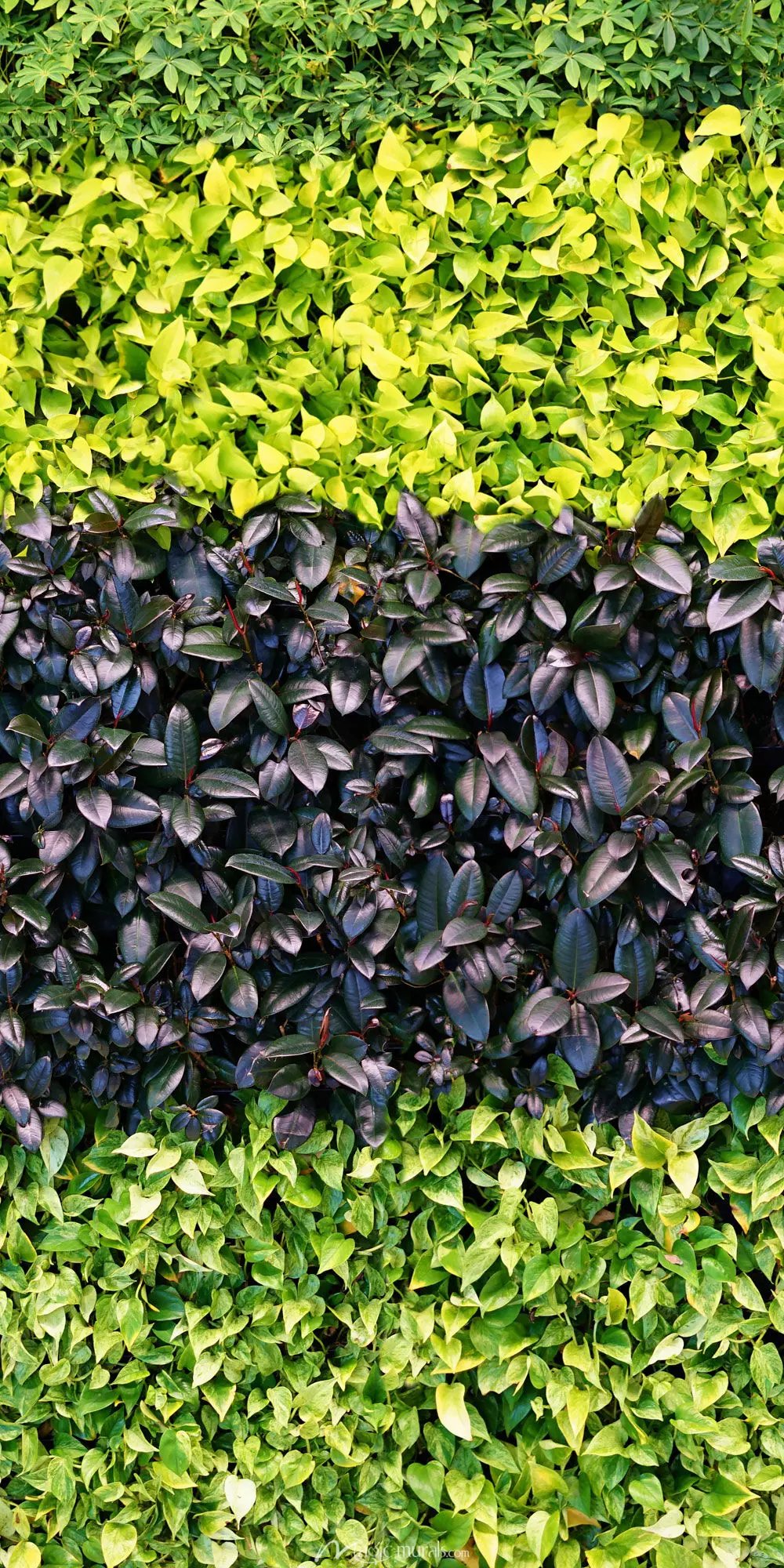 Living Wall Wallpaper Wall Mural by Magic Murals