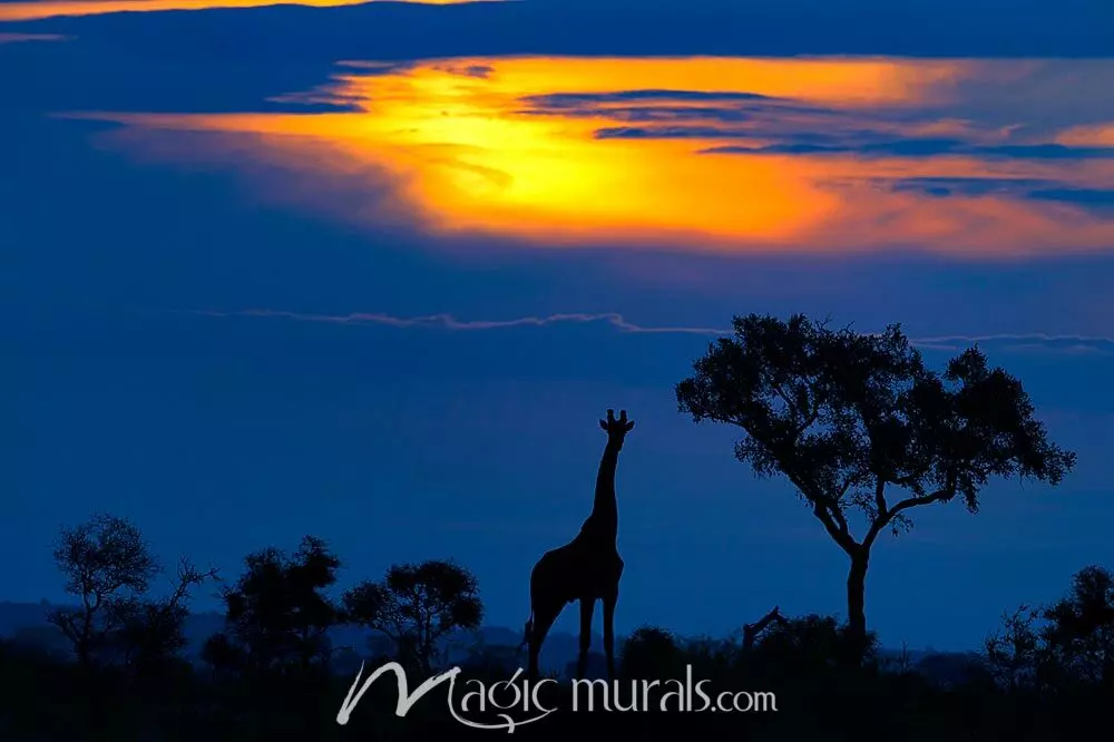 Giraffe Sunset Wallpaper