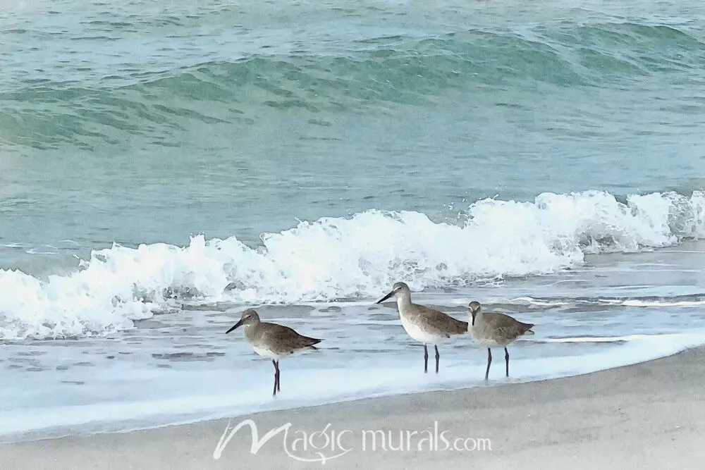Sandpipers on the Beach Wallpaper Mural by Magic Murals