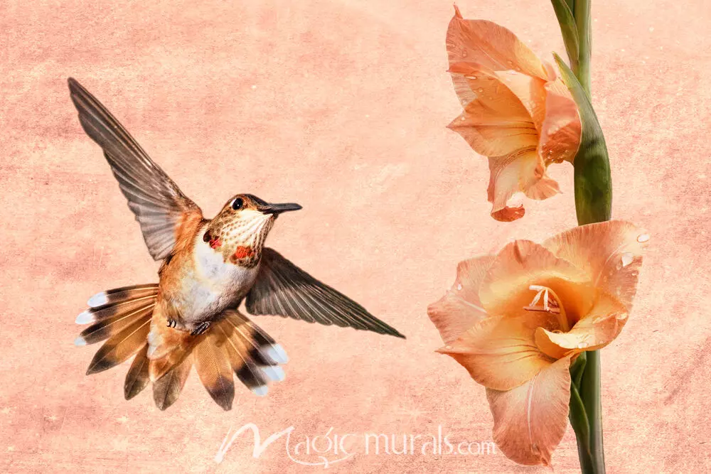 Hummingbird Attraction Wallpaper Mural by Magic Murals