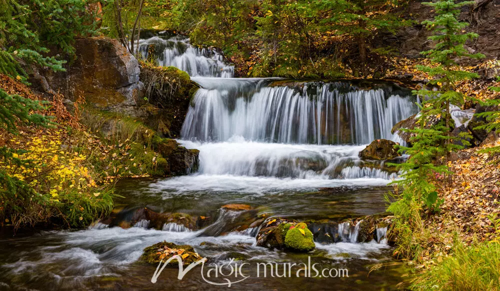 Hidden Falls Canmore 7641 Wallpaper Mural by Magic Murals