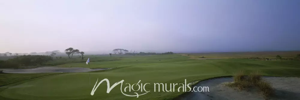 Ocean Golf Course Kiawah SC Wallpaper Mural by Magic Murals