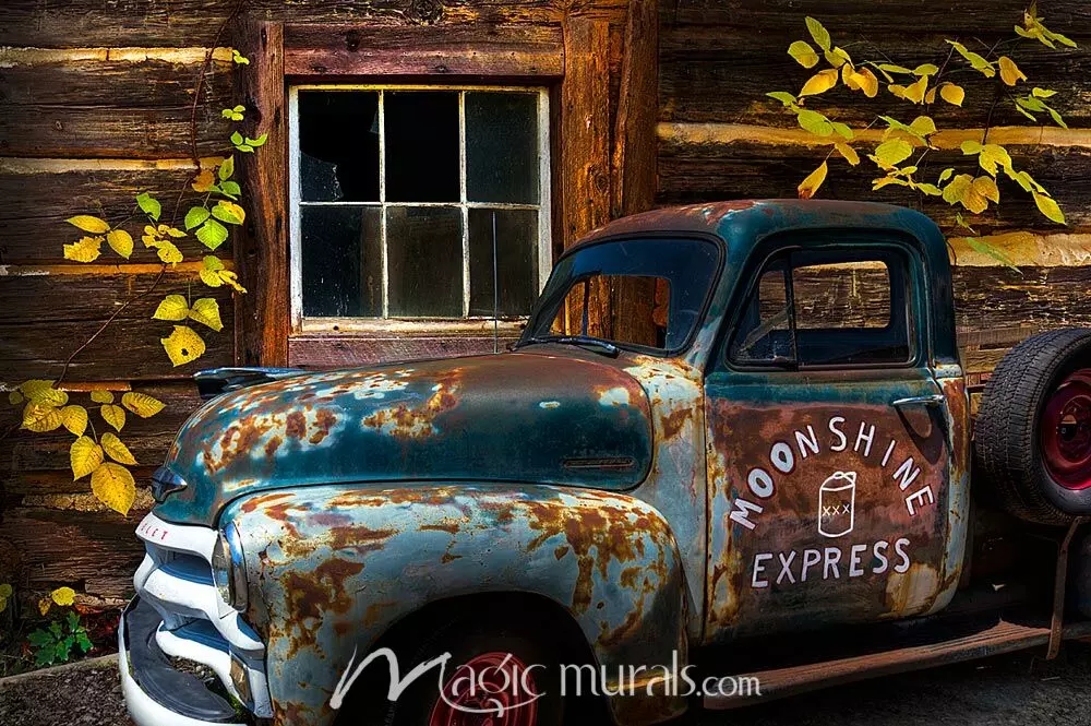 Moonshine Express Wallpaper Wall Mural by Magic Murals