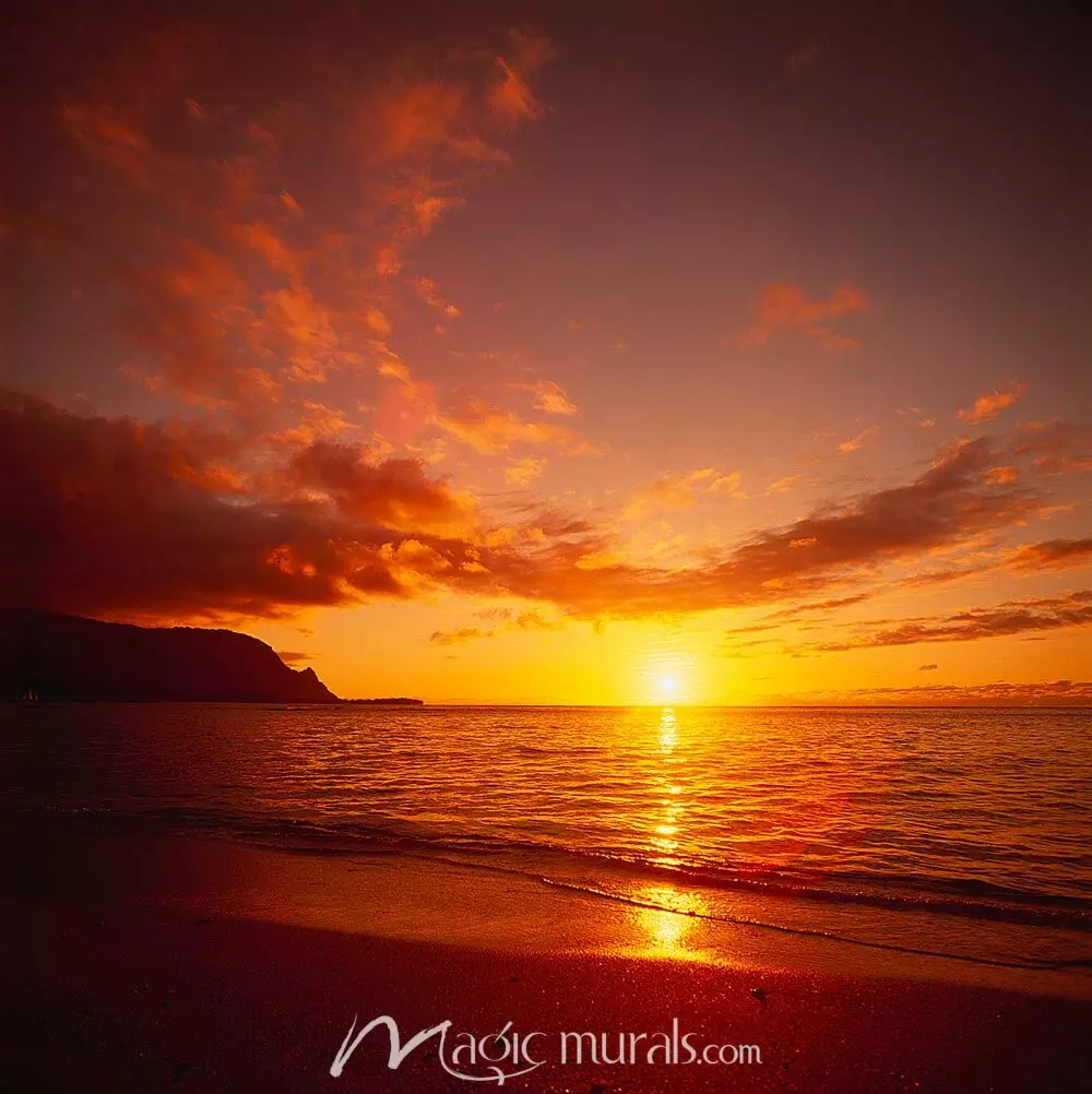 Calm Shoreline Wallpaper Wall Mural by Magic Murals