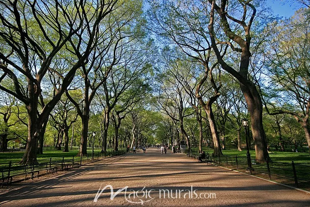 Central Park Wallpaper Wall Mural by Magic Murals