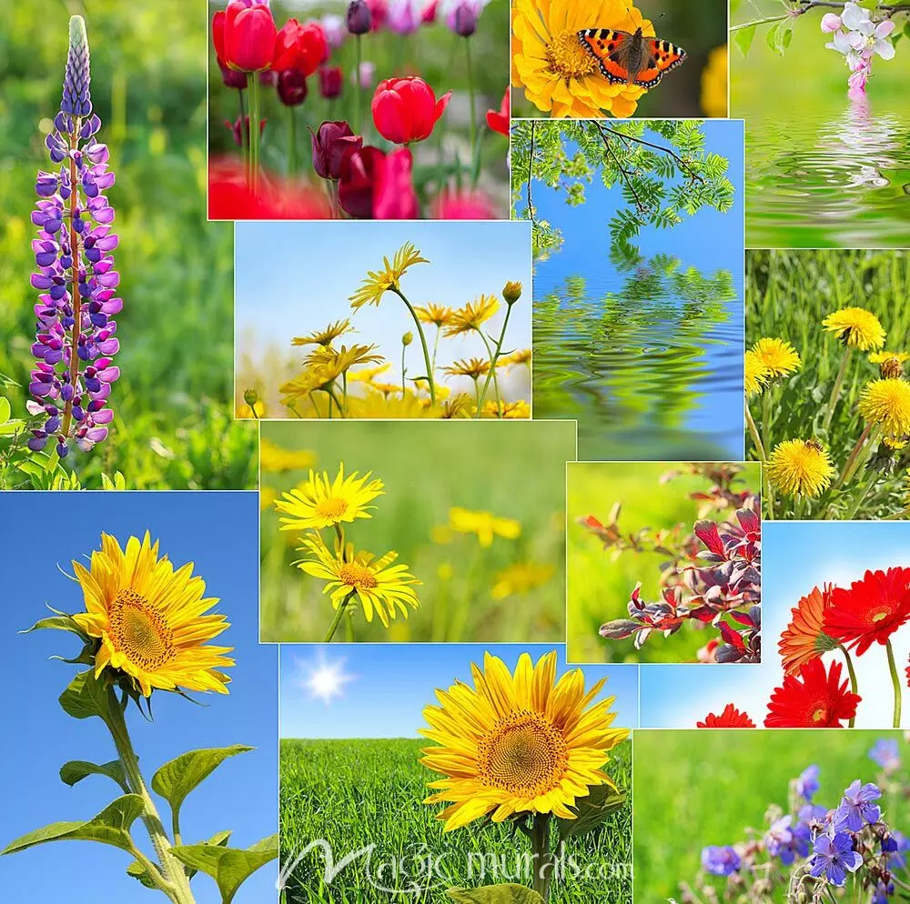 Bright Flowers Wallpaper Wall Mural by Magic Murals