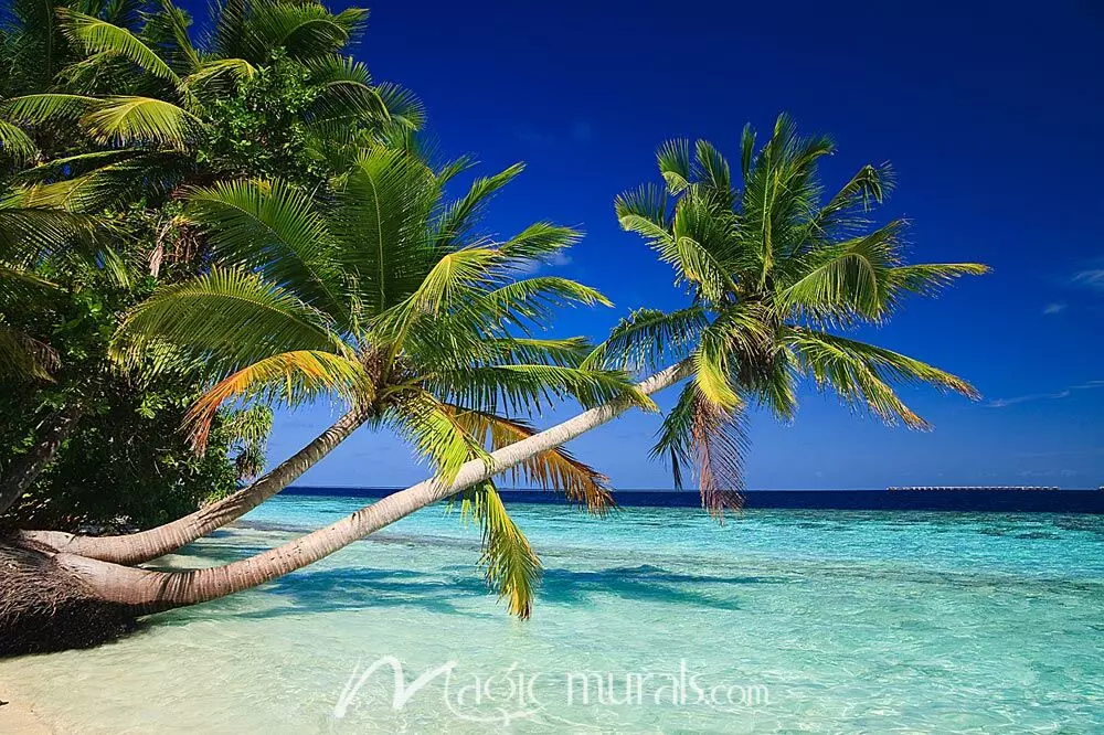 Paradise in Maldives Wallpaper Mural by Magic Murals