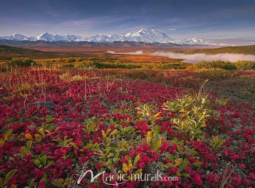 Fall In Denali Alaska Wallpaper Mural by Magic Murals
