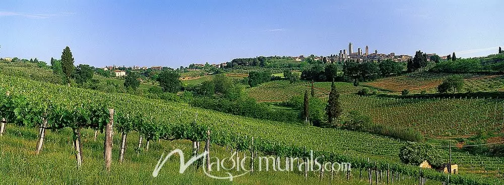 Tuscany, Italy Wallpaper Wall Mural by Magic Murals