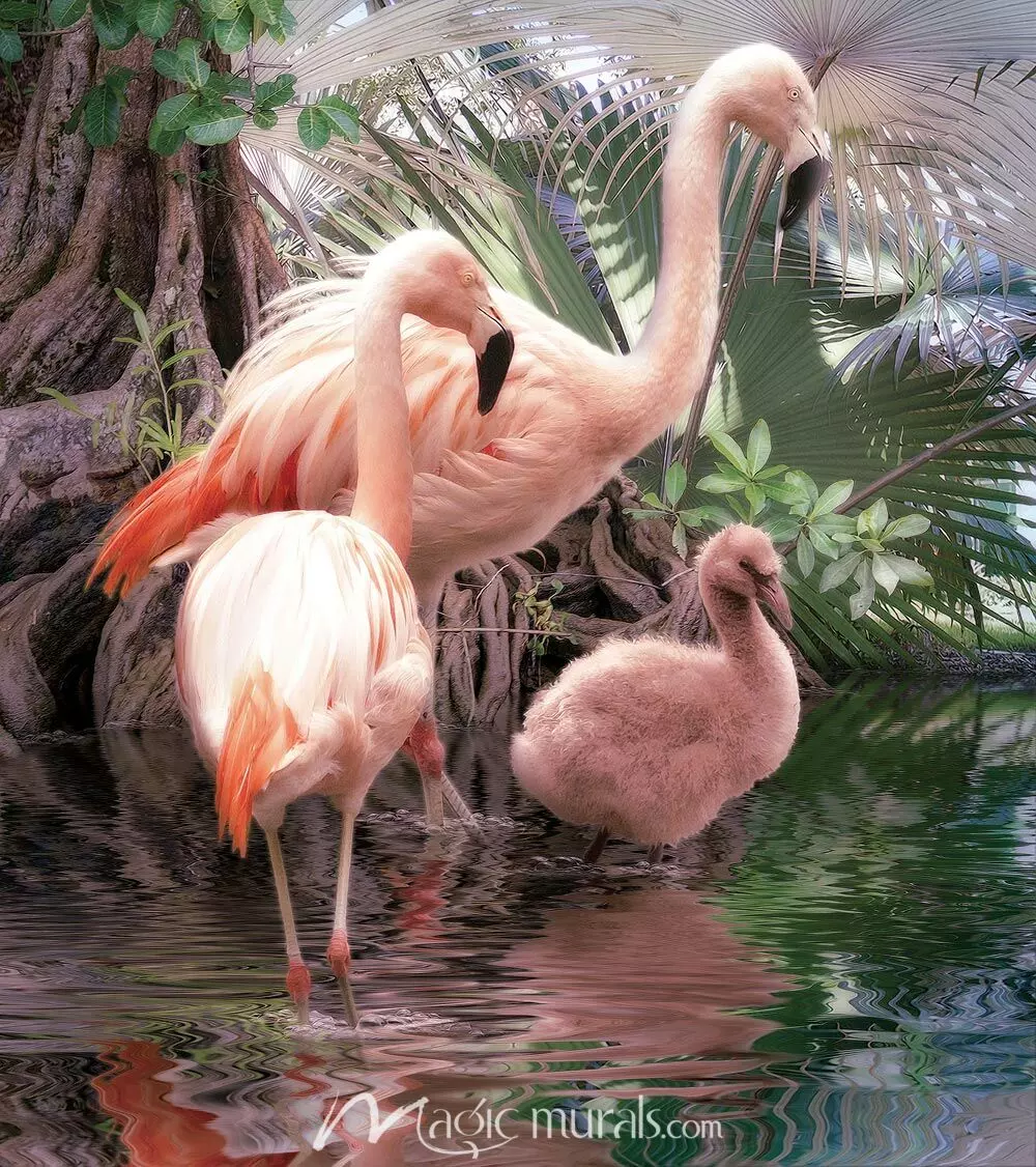 Flamingo Lingo Wallpaper Wall Mural by Magic Murals