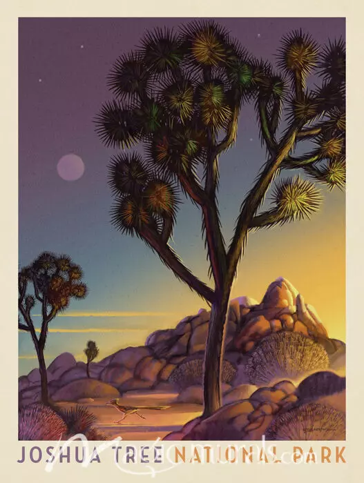 ADG Joshua Tree National Park Wallpaper Mural by Magic Murals