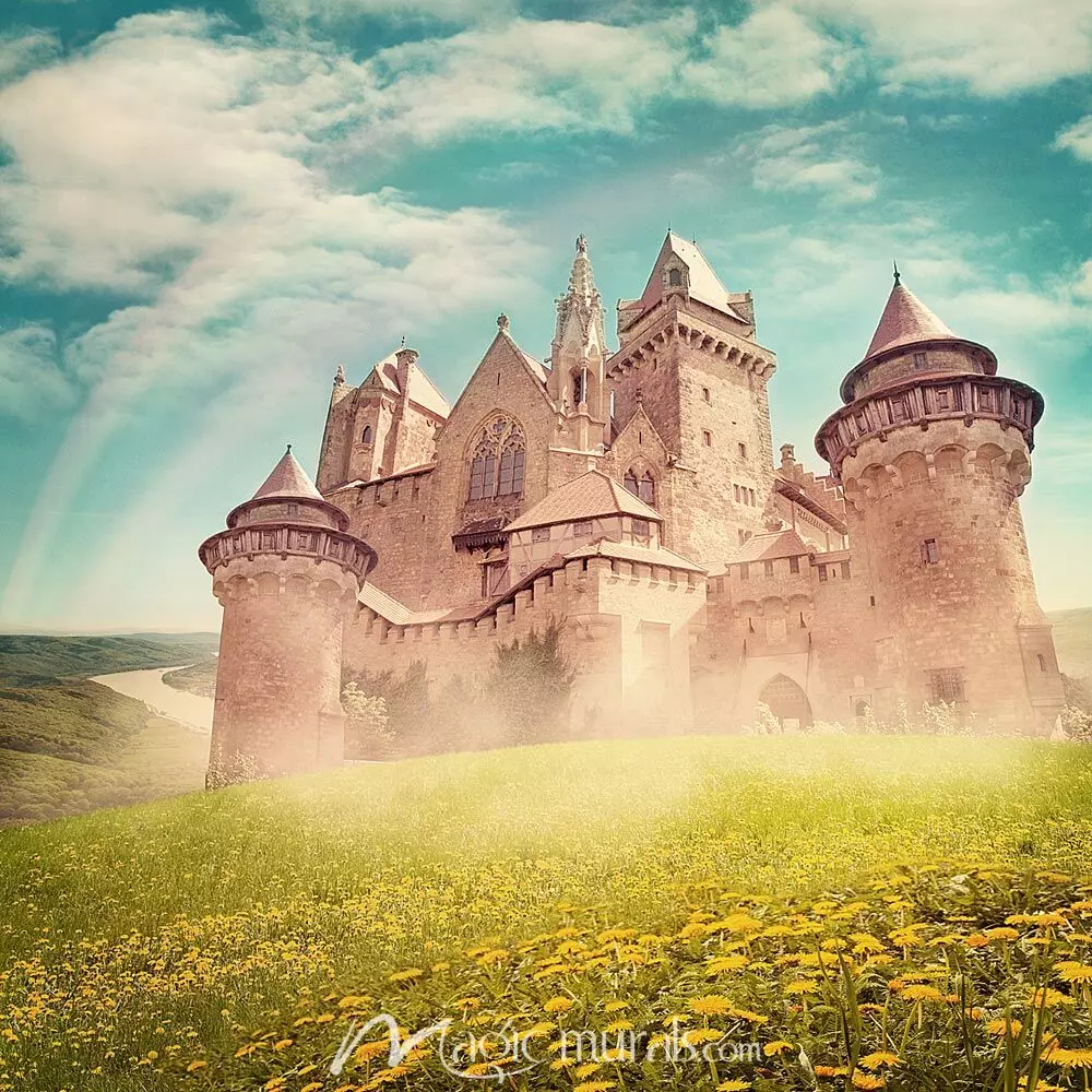 Princess Castle Background