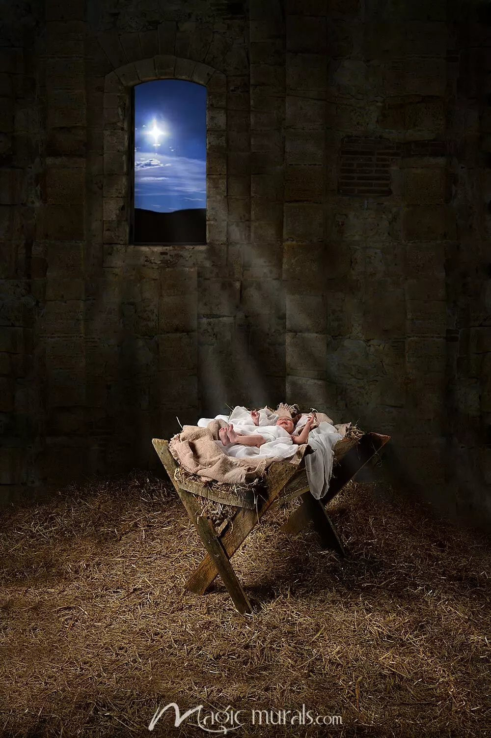 Jesus In A Manger