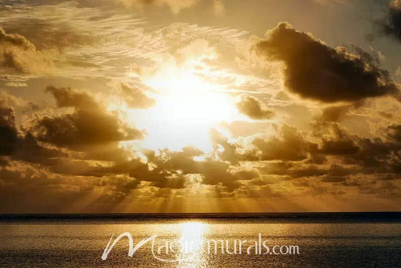 Sunrise Wallpaper Wall Mural by Magic Murals