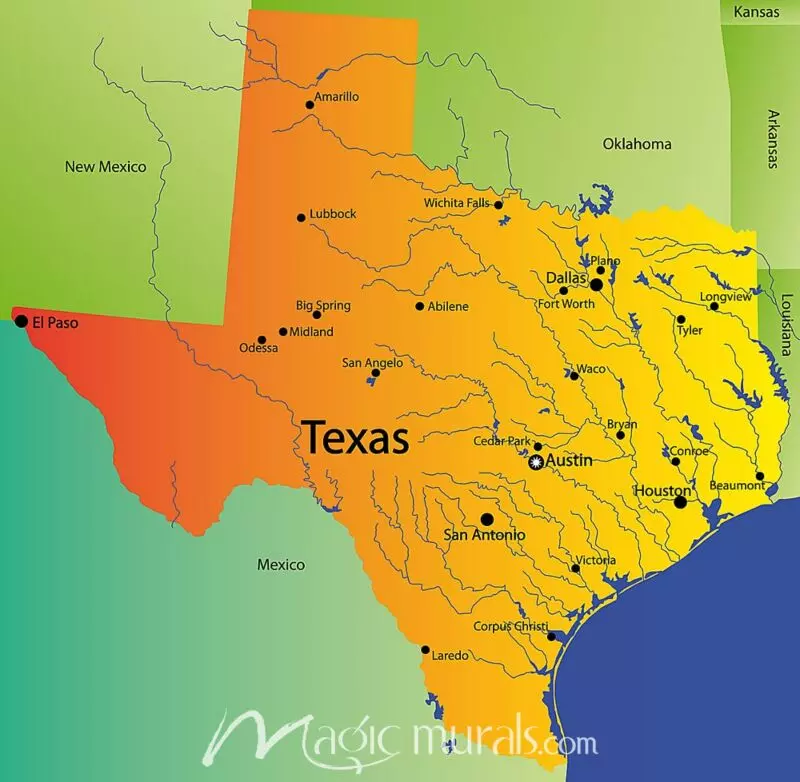 Texas State Wallpaper Wall Mural by Magic Murals