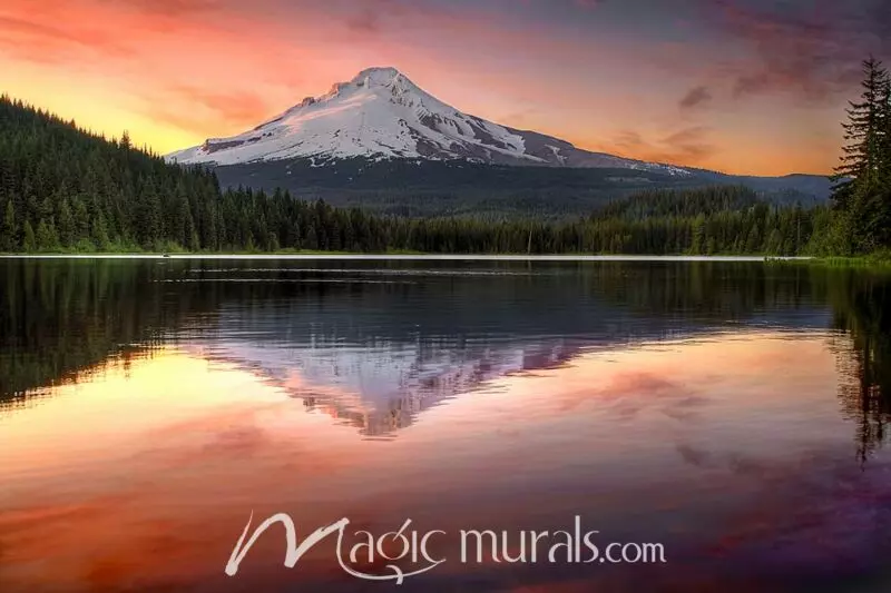 Mount Hood Wallpaper Wall Mural by Magic Murals