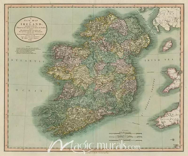 Vintage Map of Ireland Wallpaper Mural by Magic Murals