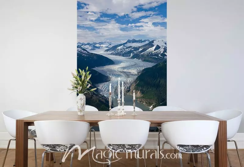 Aerial View Of Mendenhall Glacier Mural by Magic Murals