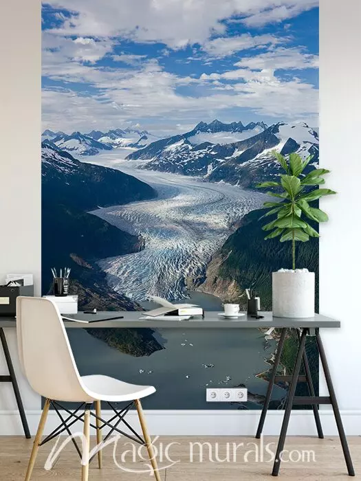 Aerial View Of Mendenhall Glacier Mural by Magic Murals