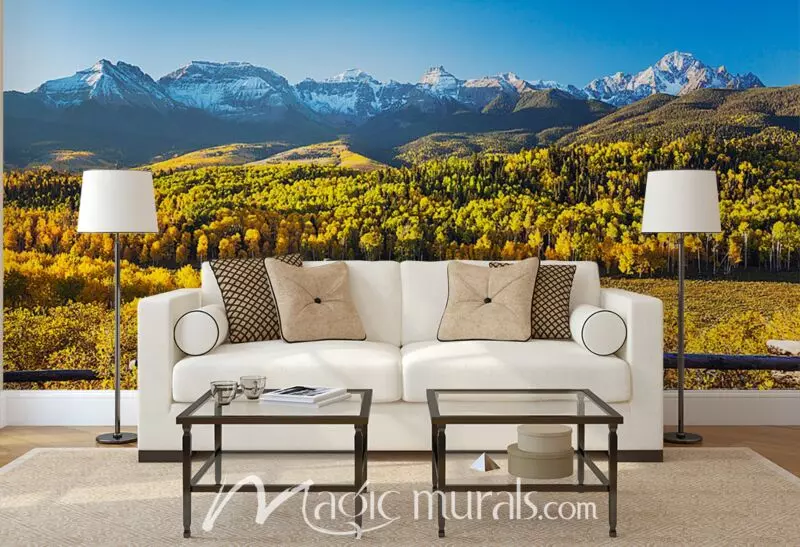 Dallas Divide Wallpaper Wall Mural by Magic Murals