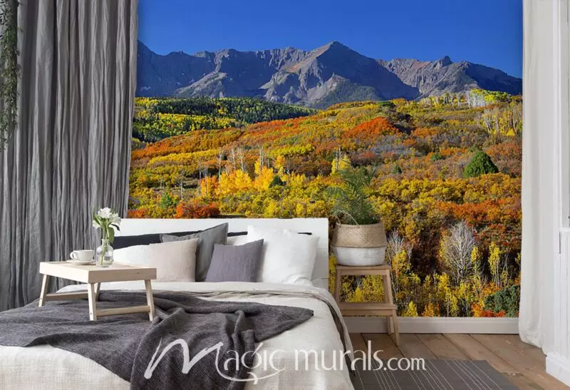 Dallas Divide in Rocky Mountains Mural by Magic Murals