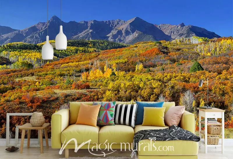 Dallas Divide in Rocky Mountains Mural by Magic Murals
