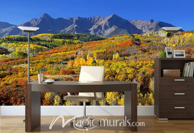 Dallas Divide in Rocky Mountains Mural by Magic Murals